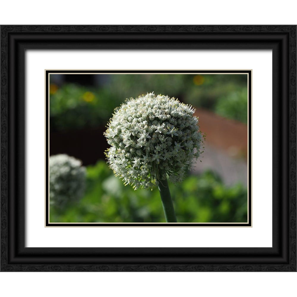 Bonin, Suzanne 14x12 Black Ornate Wood Framed with Double Matting ...