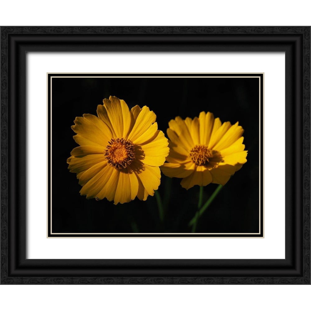 Bonin, Suzanne 14x12 Black Ornate Wood Framed with Double Matting ...