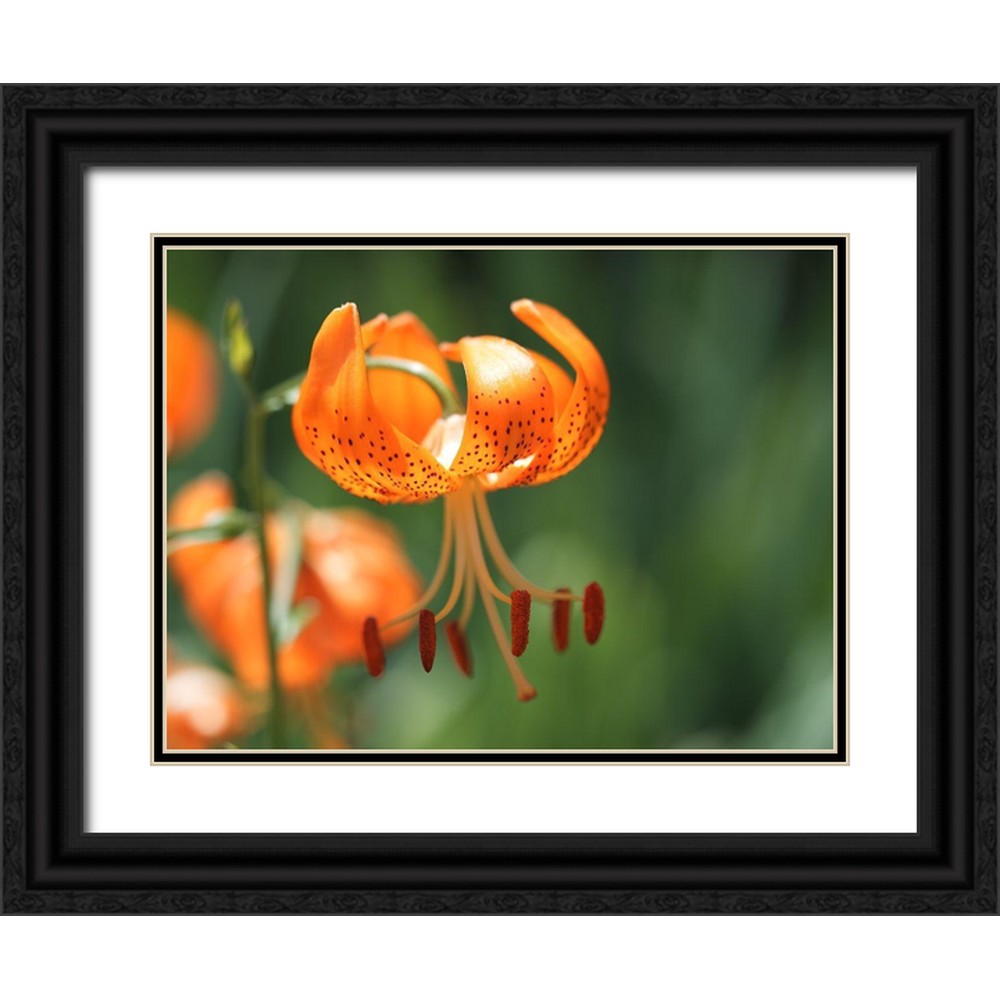 Bonin, Suzanne 14x12 Black Ornate Wood Framed with Double Matting ...