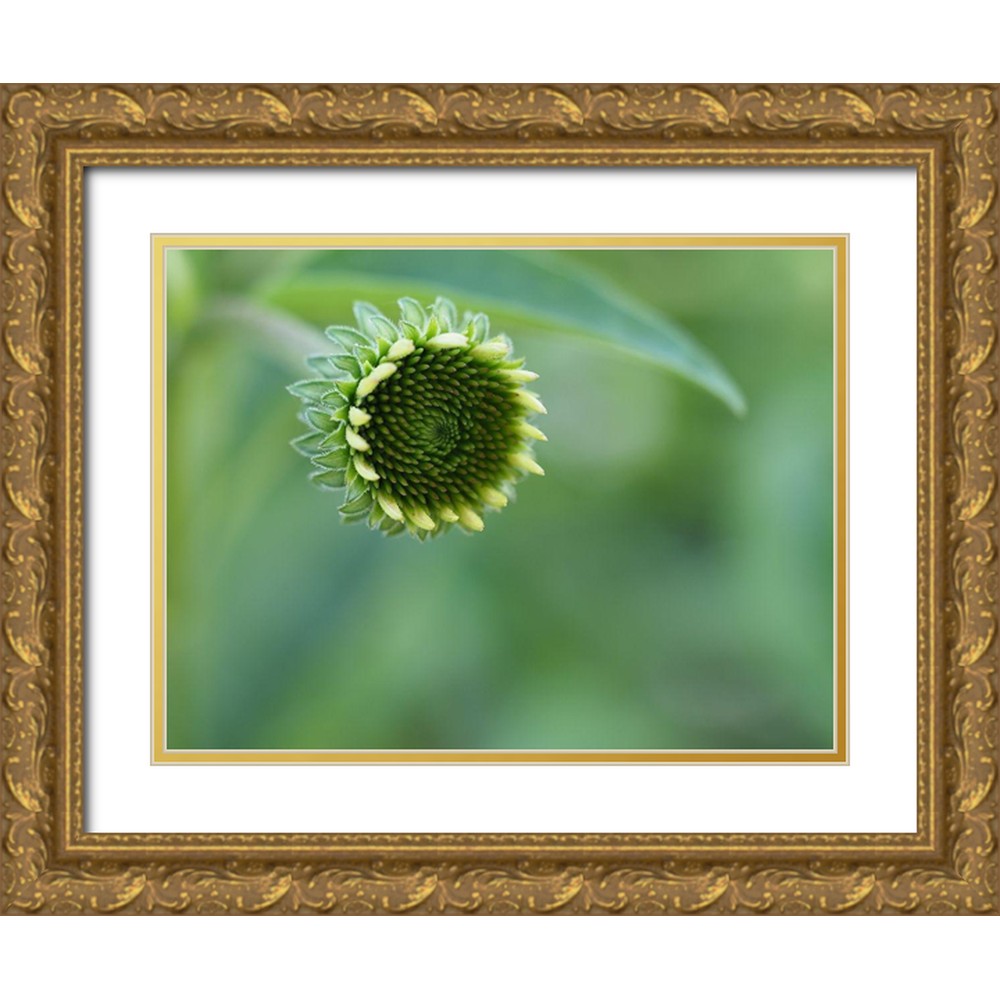 Bonin, Suzanne 14x12 Gold Ornate Wood Framed with Double Matting Museum ...