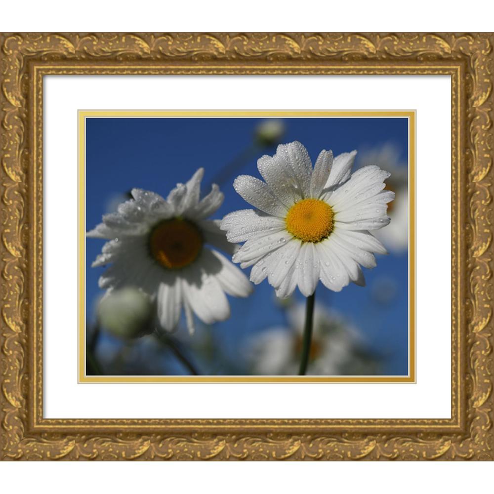 Bonin, Suzanne 14x12 Gold Ornate Wood Framed with Double Matting Museum ...