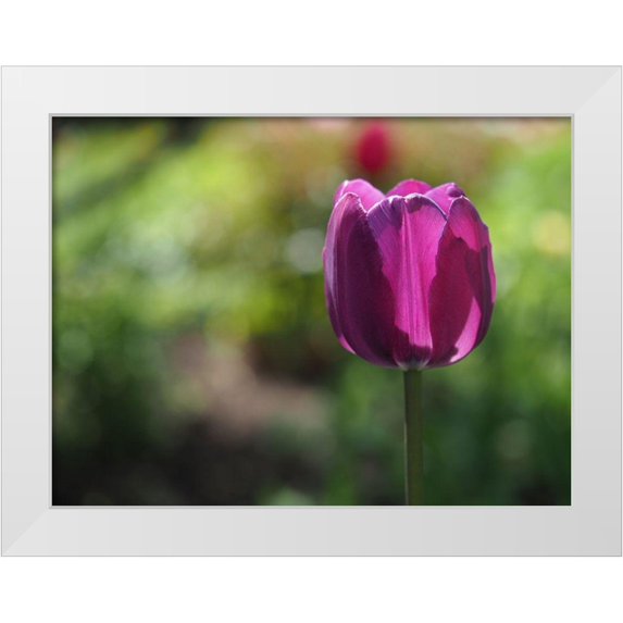 Bonin, Suzanne 14x12 White Modern Wood Framed Museum Art Print Titled ...