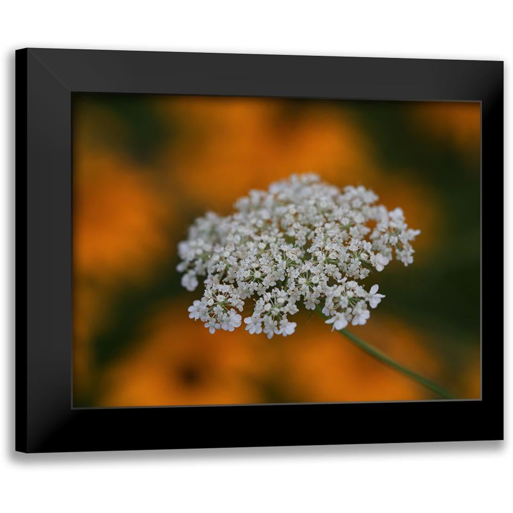 Bonin, Suzanne 18x15 Black Modern Framed Museum Art Print Titled ...