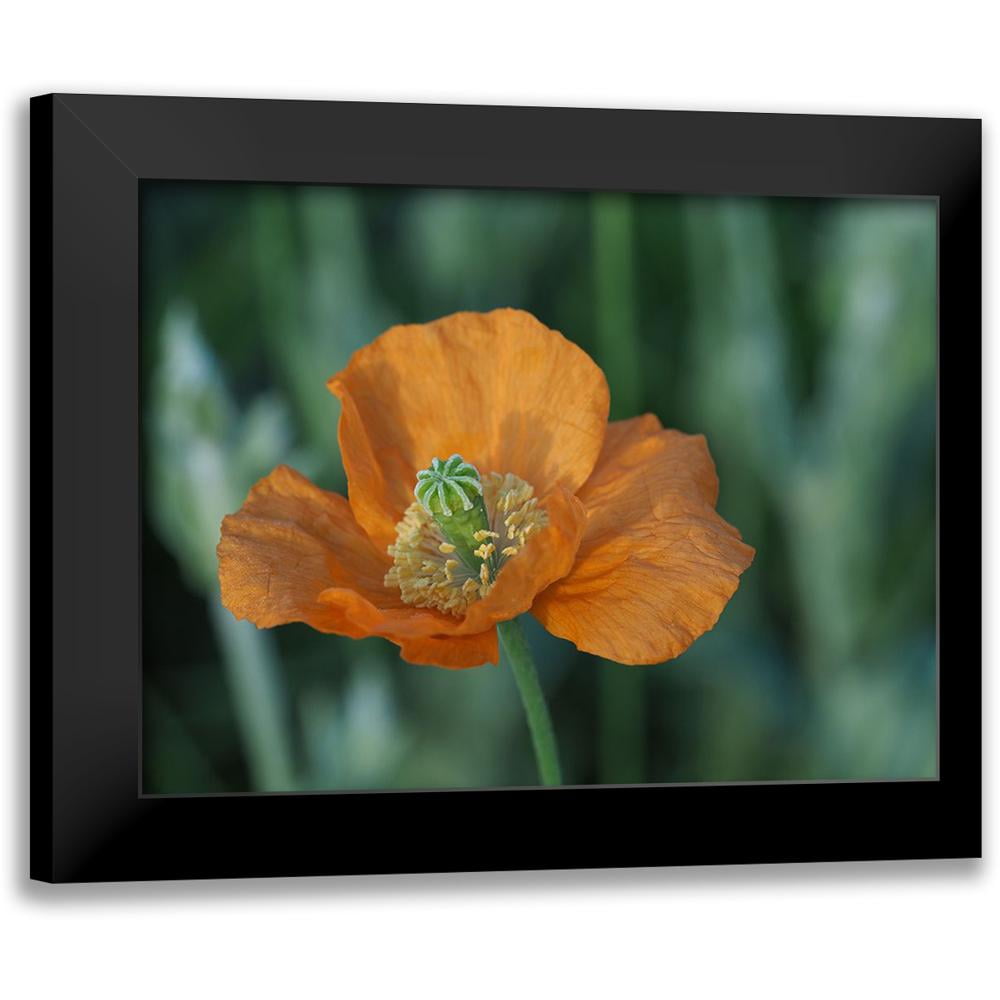 Bonin, Suzanne 18x15 Black Modern Framed Museum Art Print Titled - Fire ...