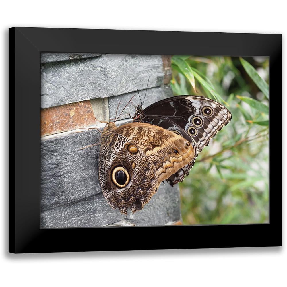 Bonin, Suzanne 24x19 Black Modern Framed Museum Art Print Titled ...