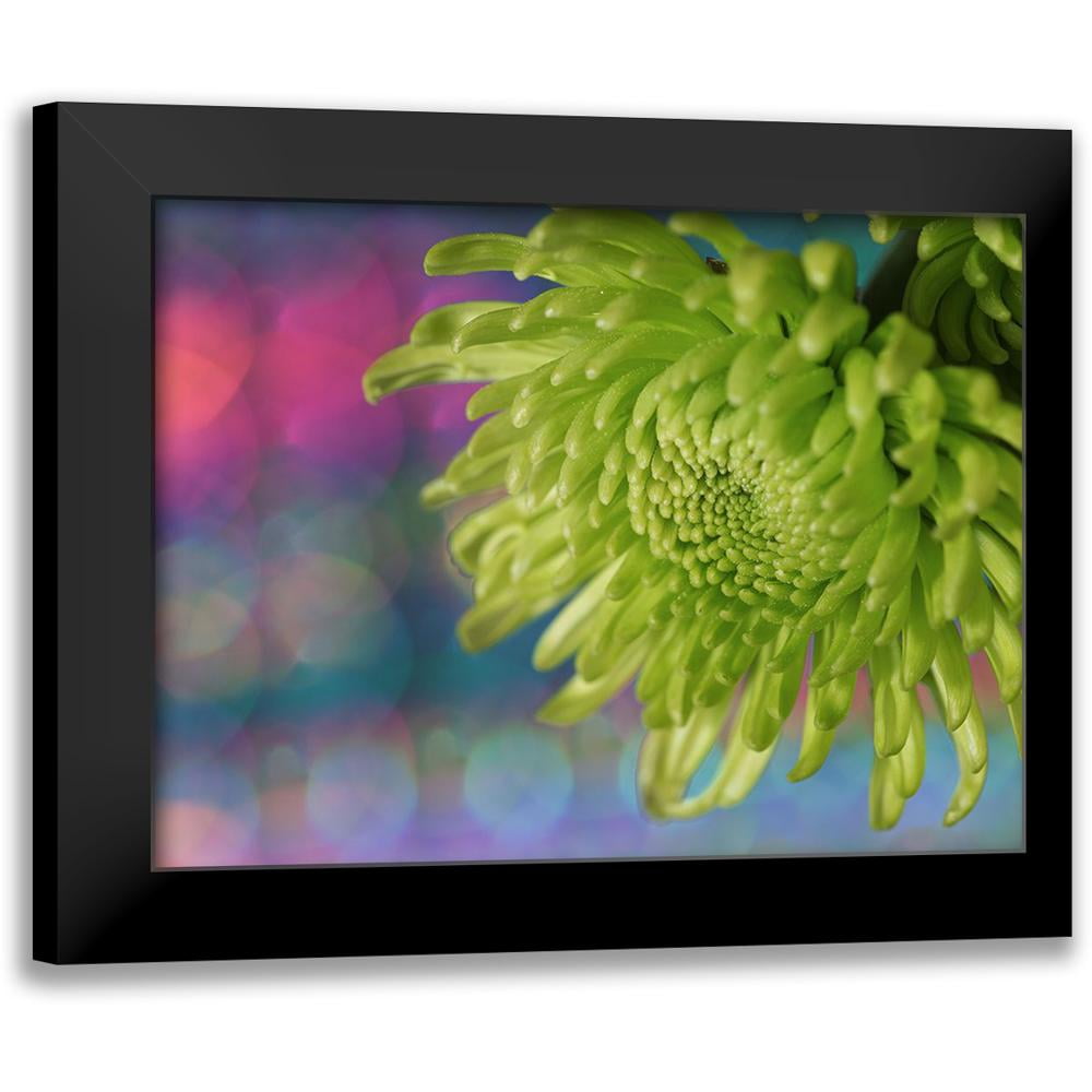 Bonin, Suzanne 24x19 Black Modern Framed Museum Art Print Titled ...