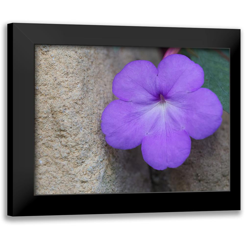 Bonin, Suzanne 24x19 Black Modern Framed Museum Art Print Titled ...