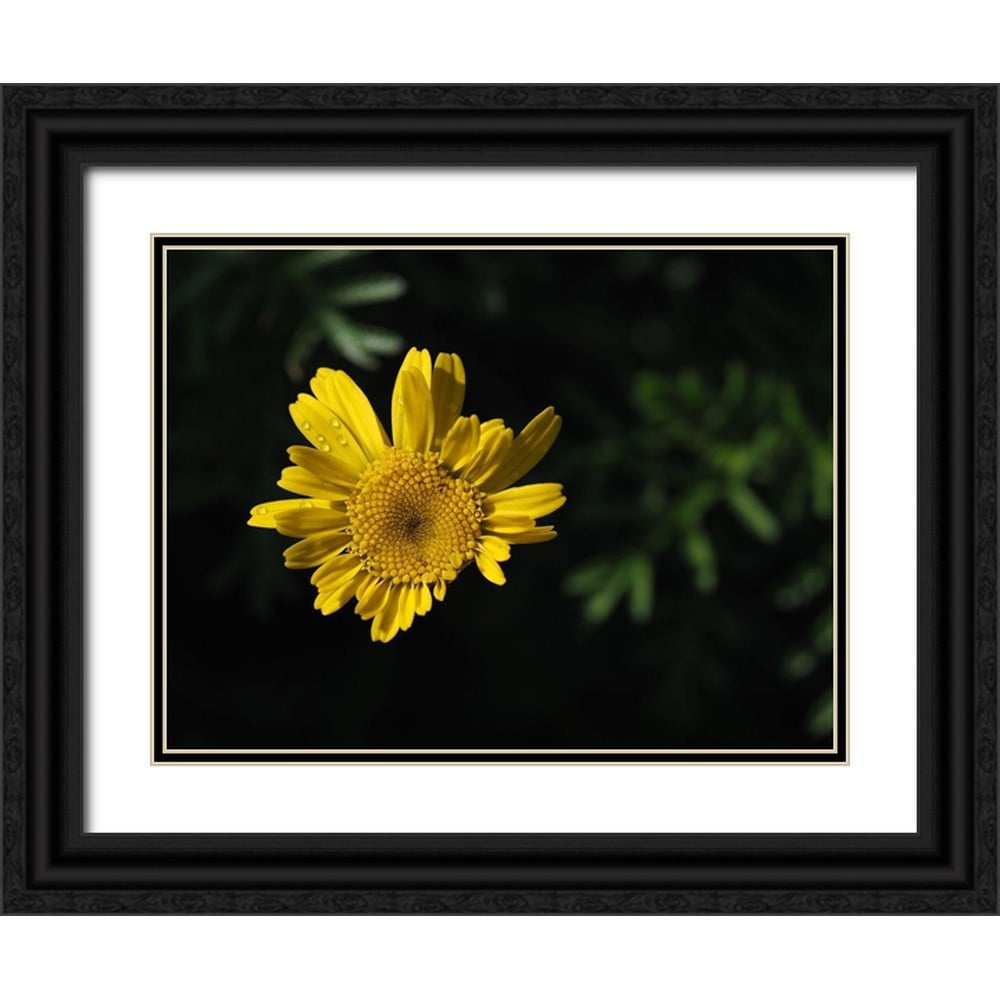 Bonin, Suzanne 24x19 Black Ornate Wood Framed with Double Matting ...