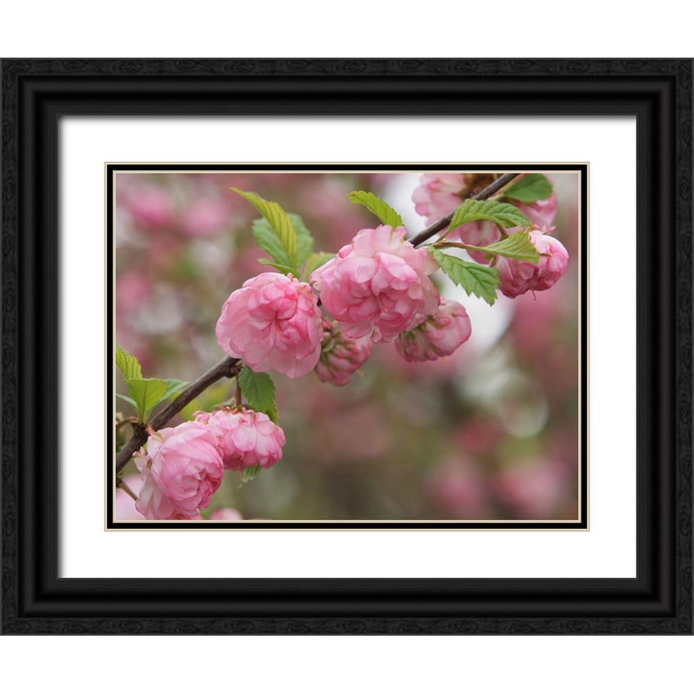 Bonin, Suzanne 24x19 Black Ornate Wood Framed with Double Matting ...