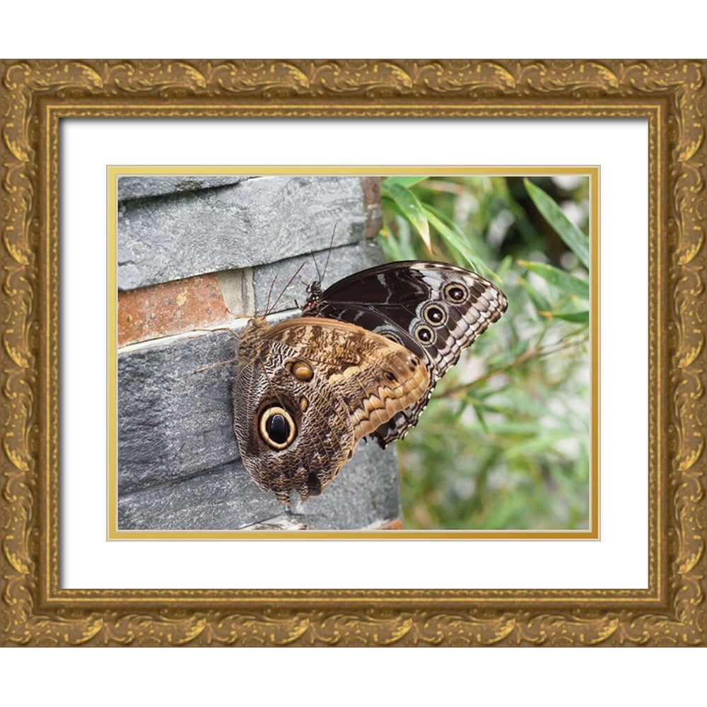 Bonin, Suzanne 24x19 Gold Ornate Wood Framed with Double Matting Museum ...
