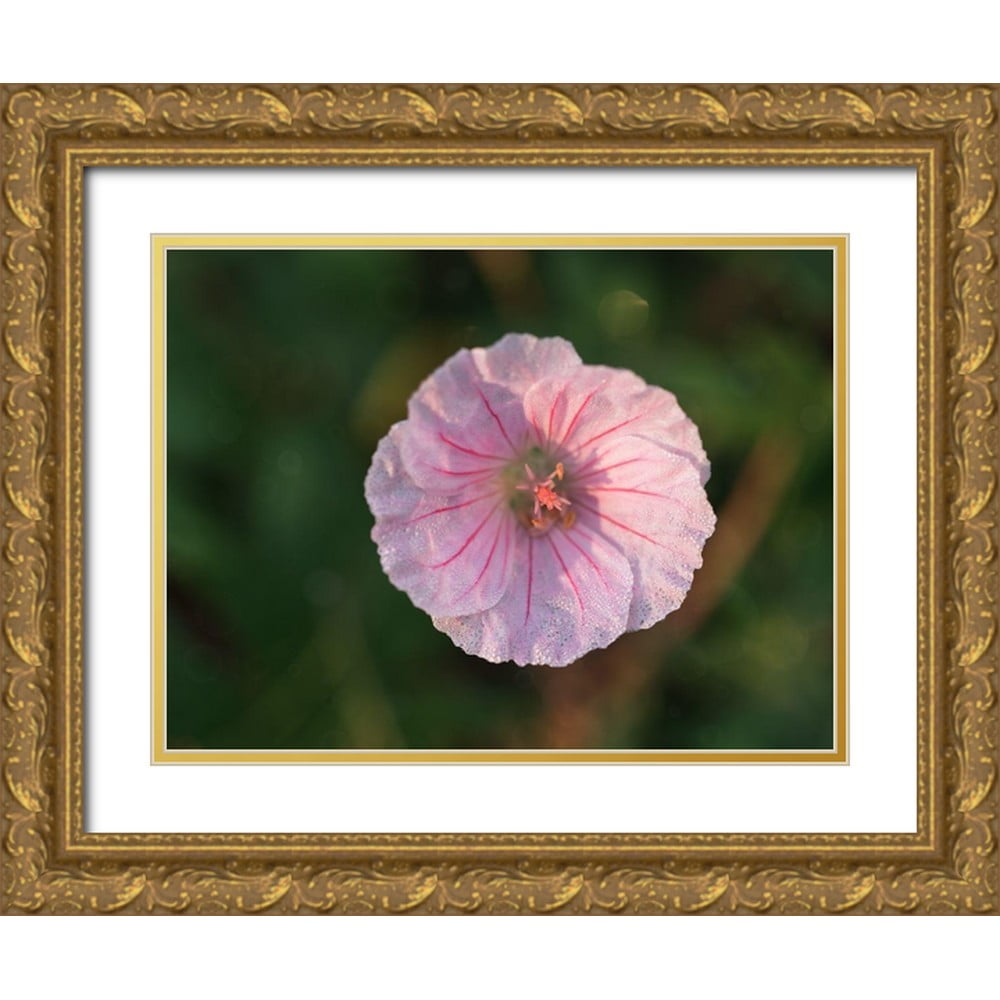 Bonin, Suzanne 24x19 Gold Ornate Wood Framed with Double Matting Museum ...