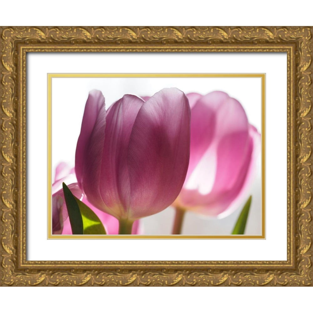 Bonin, Suzanne 24x19 Gold Ornate Wood Framed with Double Matting Museum ...