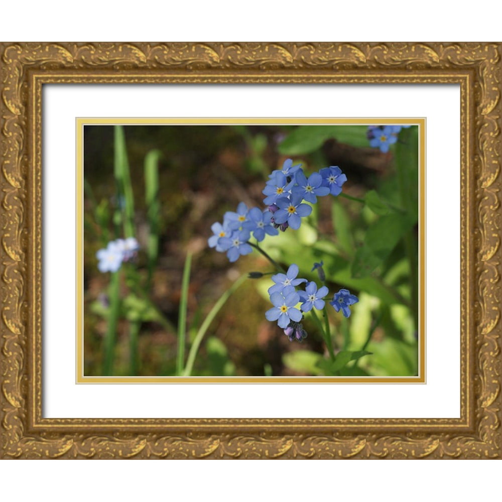 Bonin, Suzanne 24x19 Gold Ornate Wood Framed with Double Matting Museum ...