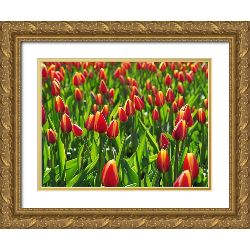 Bonin, Suzanne 24x19 Gold Ornate Wood Framed with Double Matting Museum ...
