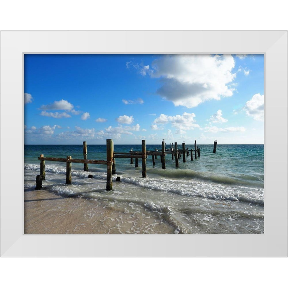 Bonin, Suzanne 24x19 White Modern Wood Framed Museum Art Print Titled ...
