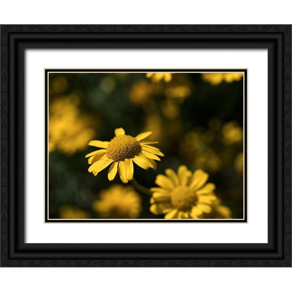 Bonin, Suzanne 32x25 Black Ornate Wood Framed with Double Matting ...