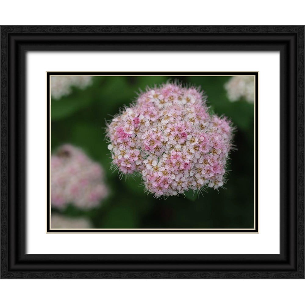 Bonin, Suzanne 32x25 Black Ornate Wood Framed with Double Matting ...