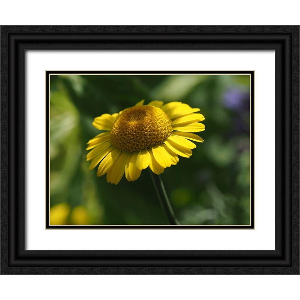 Bonin, Suzanne 32x25 Black Ornate Wood Framed with Double Matting ...