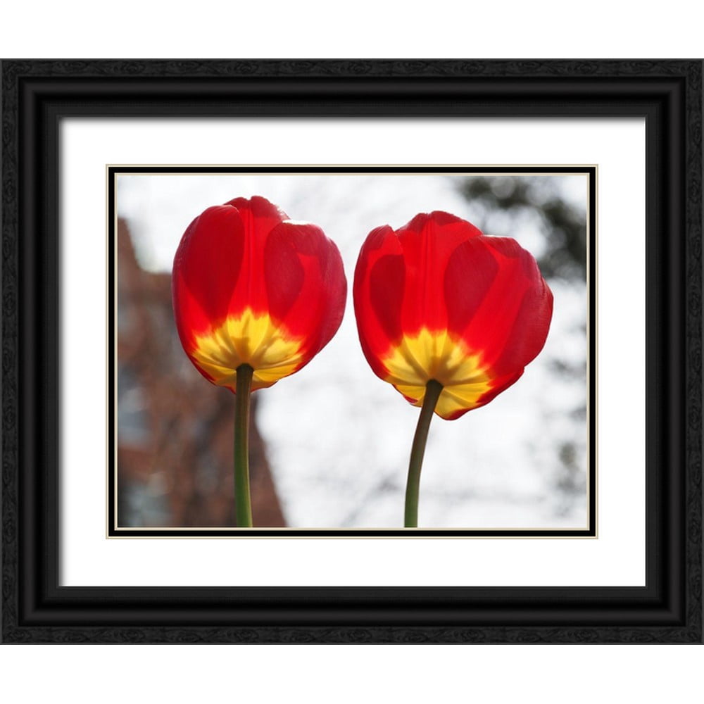 Bonin, Suzanne 32x25 Black Ornate Wood Framed with Double Matting ...