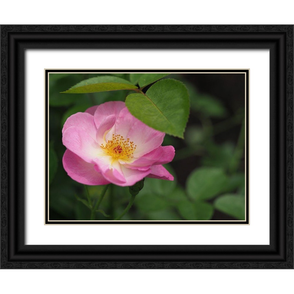 Bonin, Suzanne 32x25 Black Ornate Wood Framed with Double Matting ...