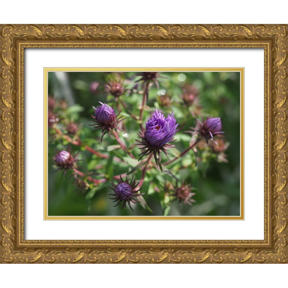 Bonin, Suzanne 32x25 Gold Ornate Wood Framed with Double Matting Museum ...