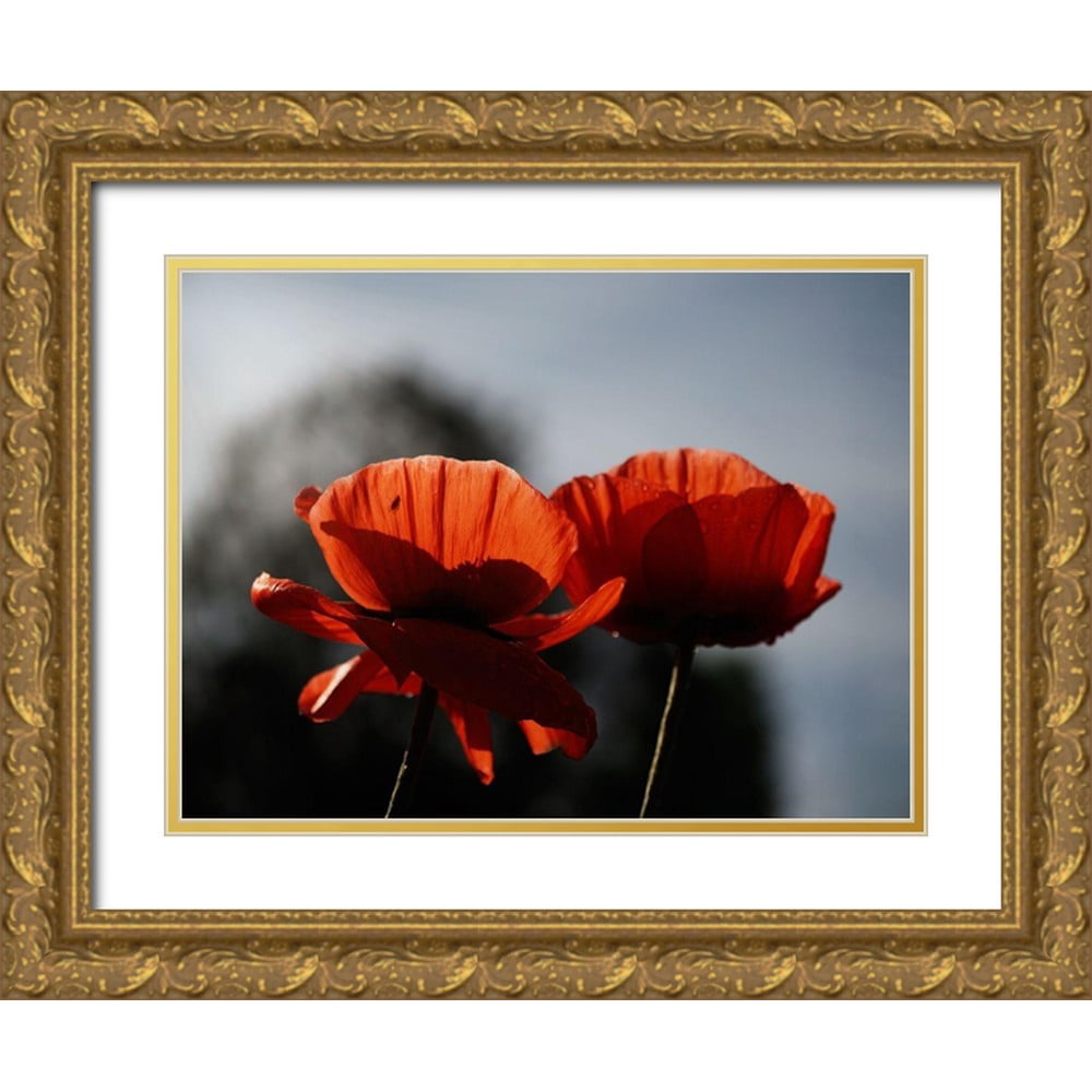 Bonin, Suzanne 32x25 Gold Ornate Wood Framed with Double Matting Museum ...