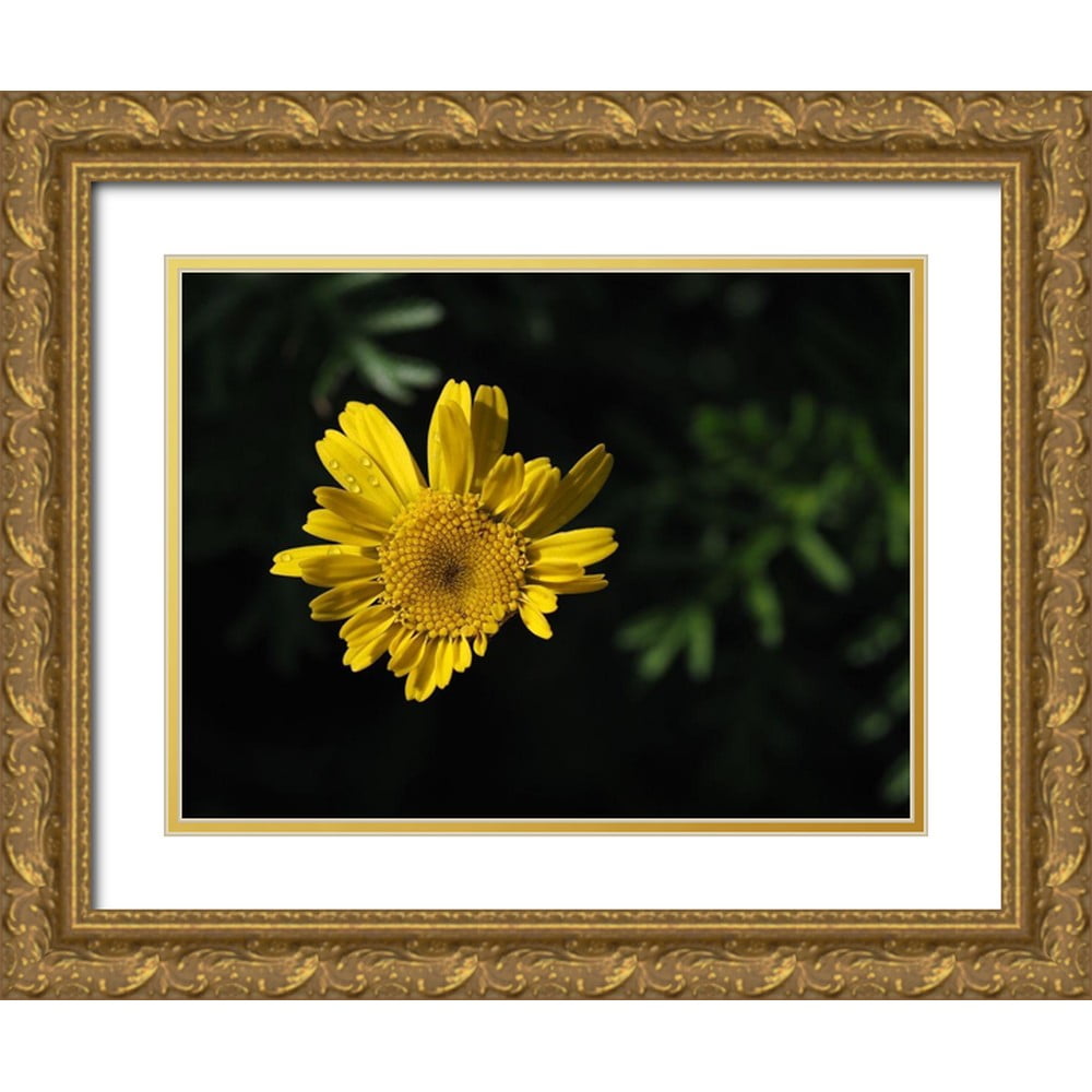 Bonin, Suzanne 32x25 Gold Ornate Wood Framed with Double Matting Museum ...