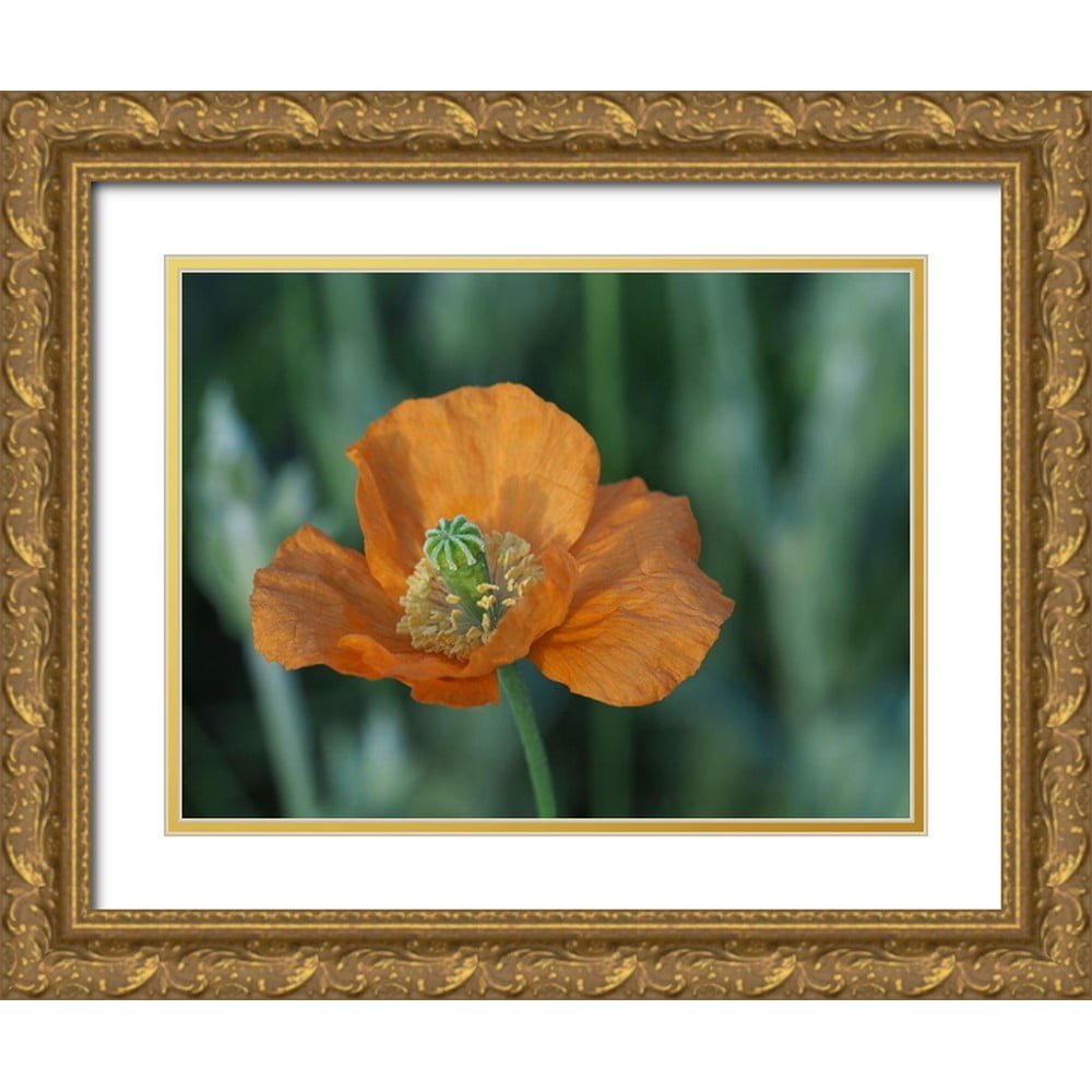 Bonin, Suzanne 32x25 Gold Ornate Wood Framed with Double Matting Museum ...