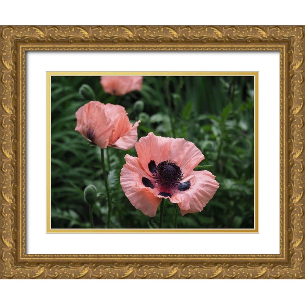 Bonin, Suzanne 32x25 Gold Ornate Wood Framed with Double Matting Museum ...