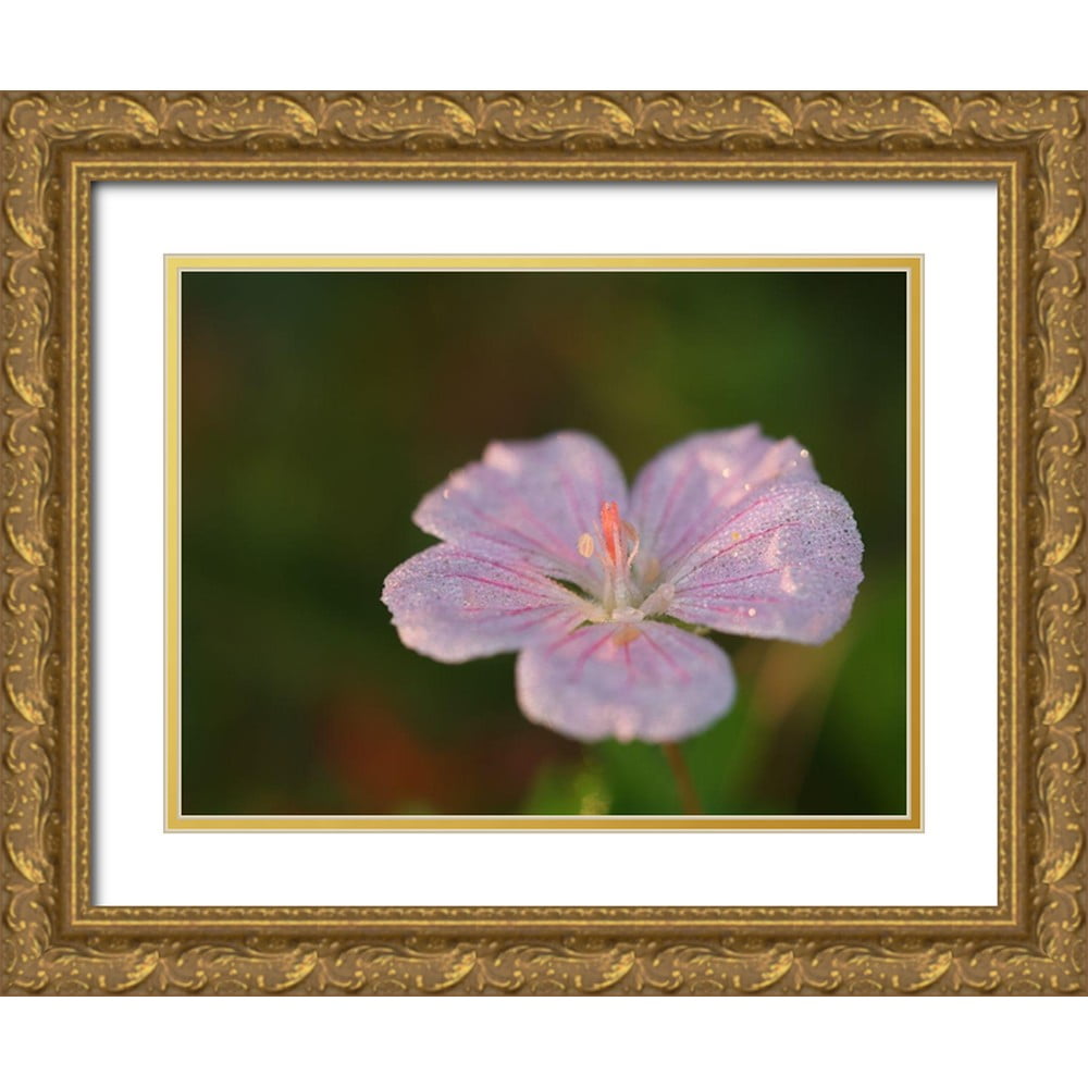 Bonin, Suzanne 32x25 Gold Ornate Wood Framed with Double Matting Museum ...