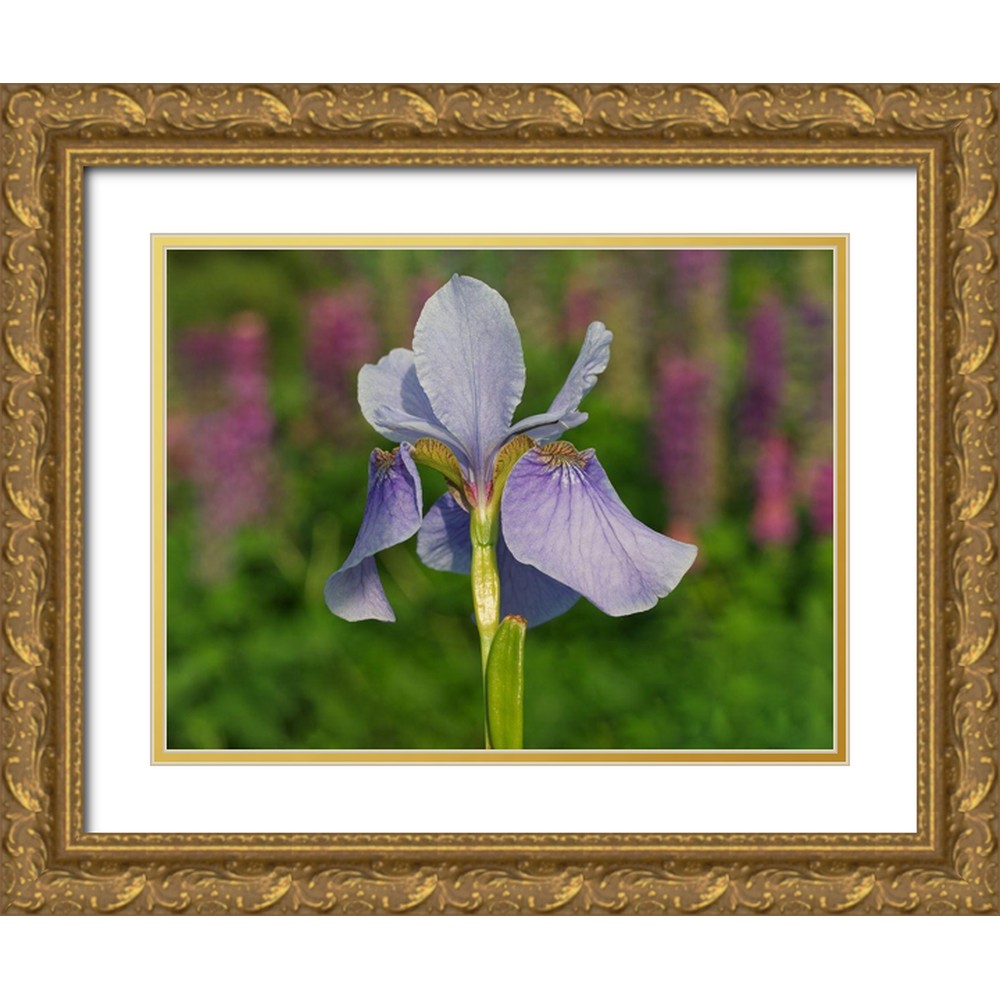 Bonin, Suzanne 32x25 Gold Ornate Wood Framed with Double Matting Museum ...