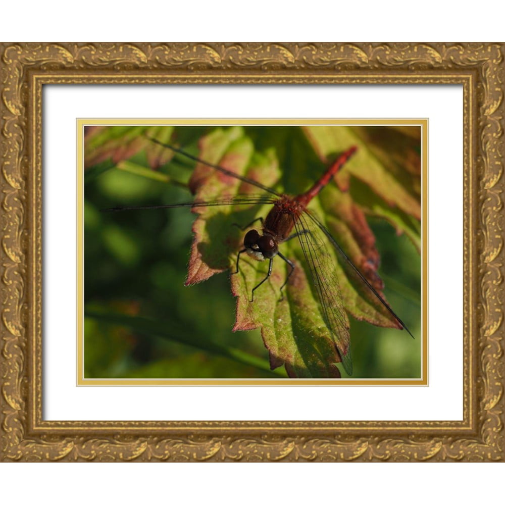 Bonin, Suzanne 32x25 Gold Ornate Wood Framed with Double Matting Museum ...