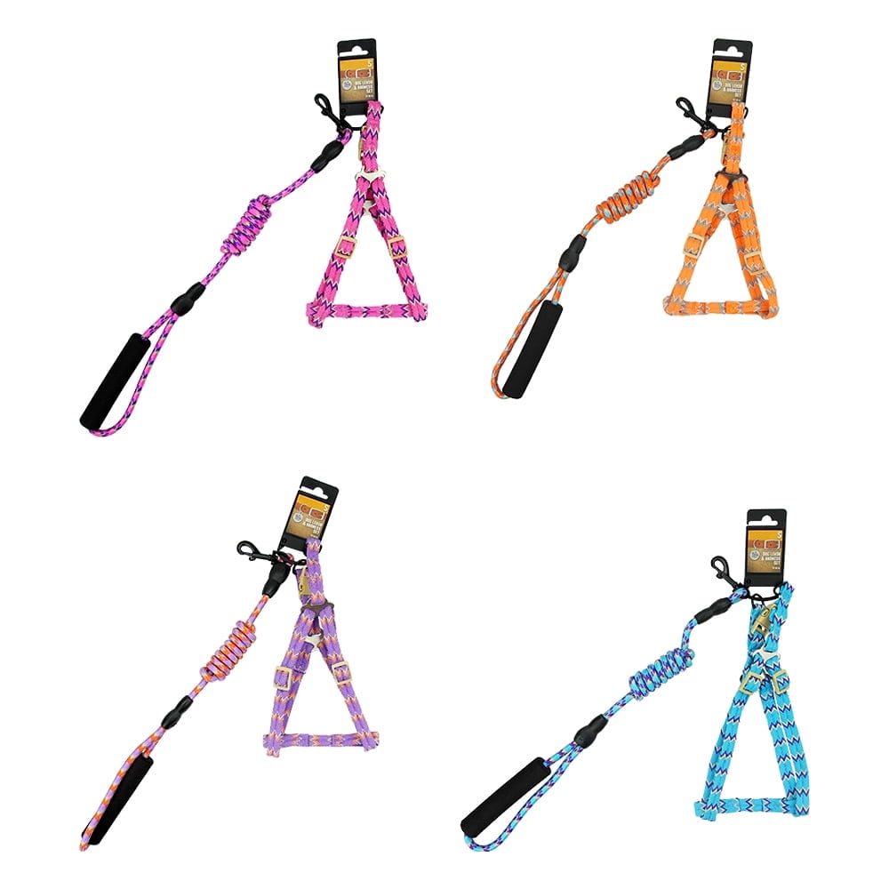 Bonita Pet Small Leash and Harness Set in 4 Colors (Pack of 12 ...