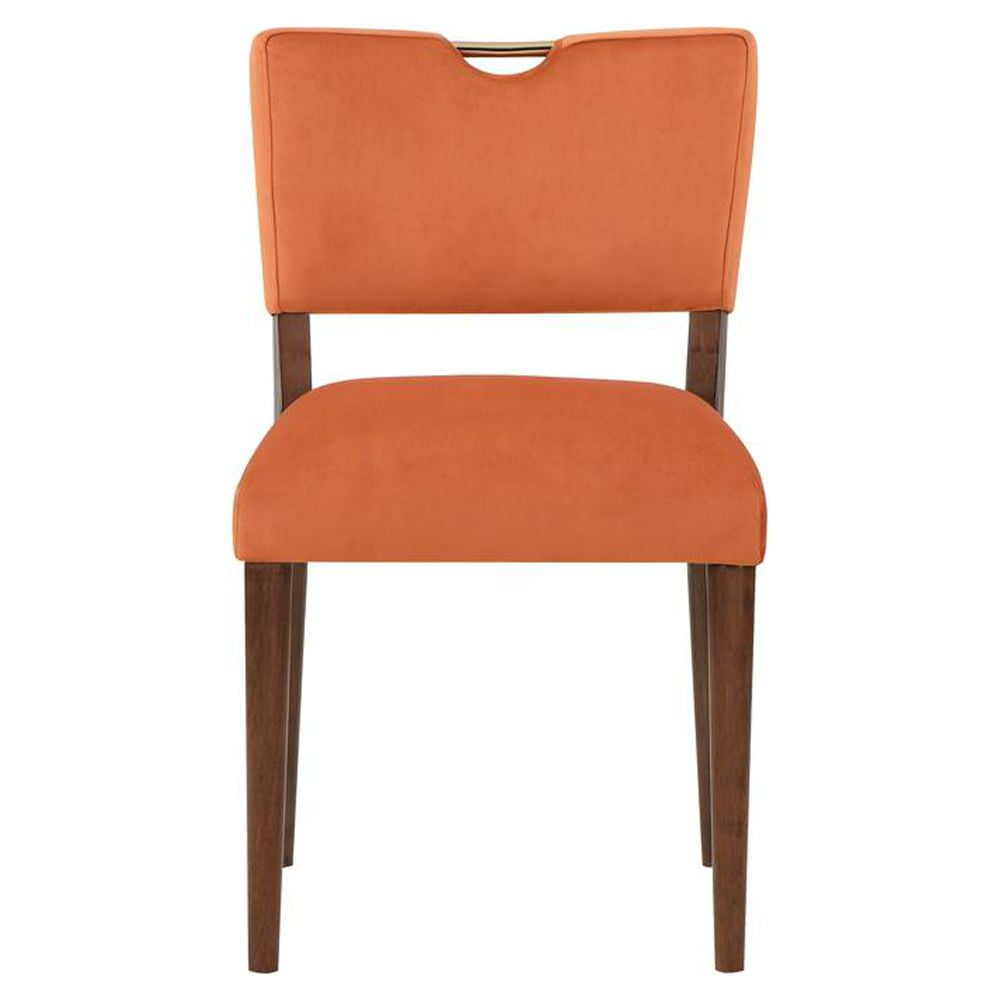 Bonito Burnt Orange Velvet Dining Chair with Gold Handle- Set of 2 ...