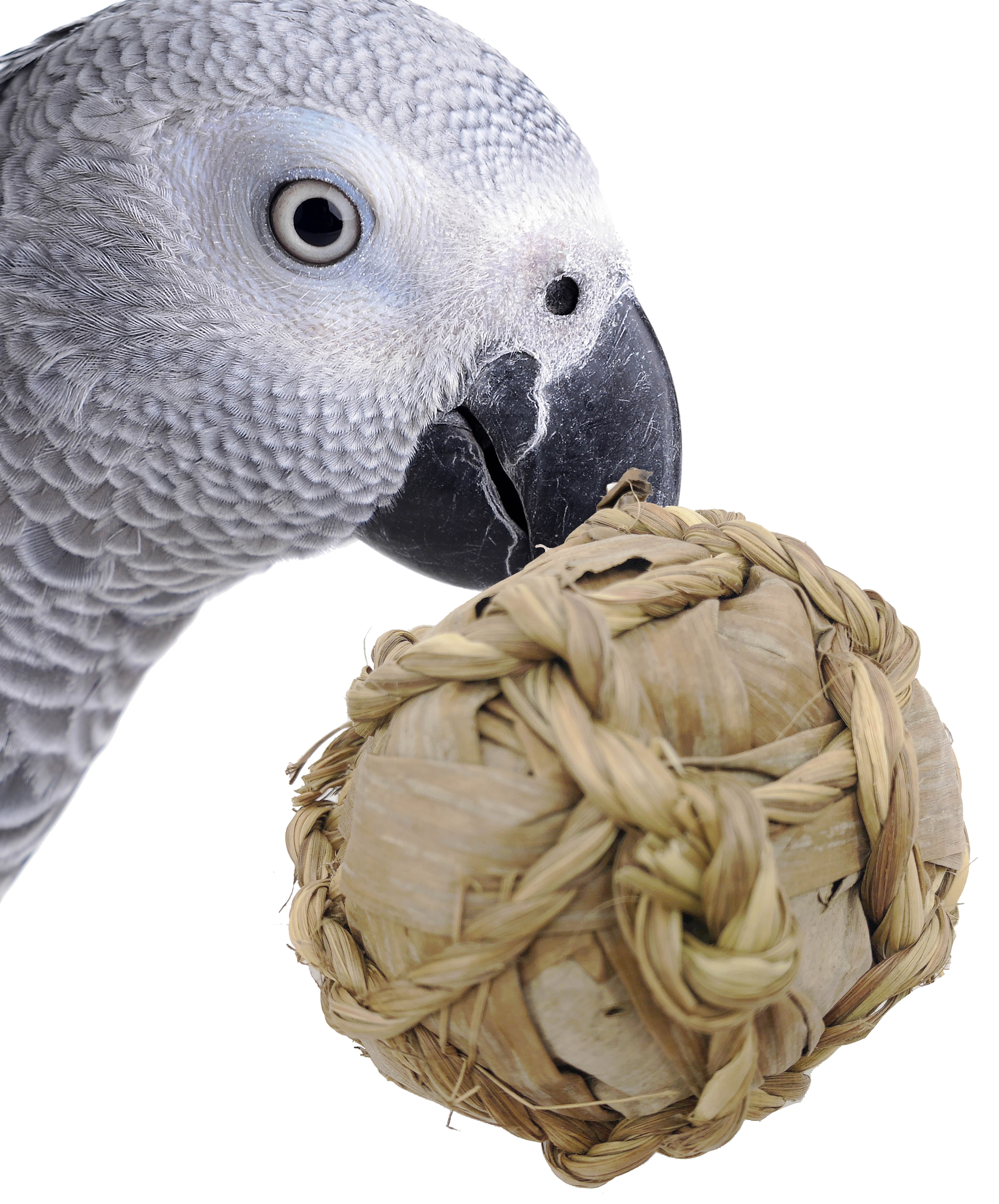 Bonka Bird Toys 1277 PK3 Banana Leaf Ball - Walmart.com
