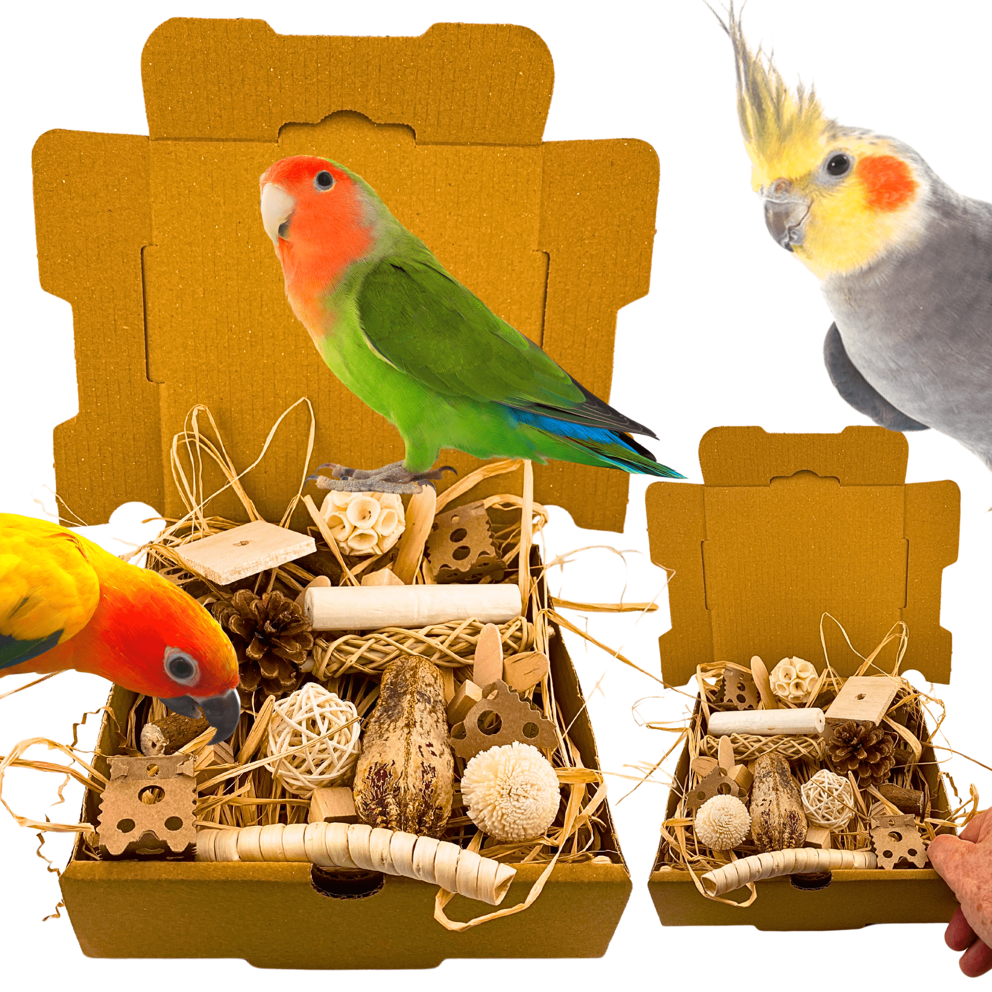 Bonka Bird Toys 2028 Natural Foraging Bonka Box Chew Shred Preen Parrot ...