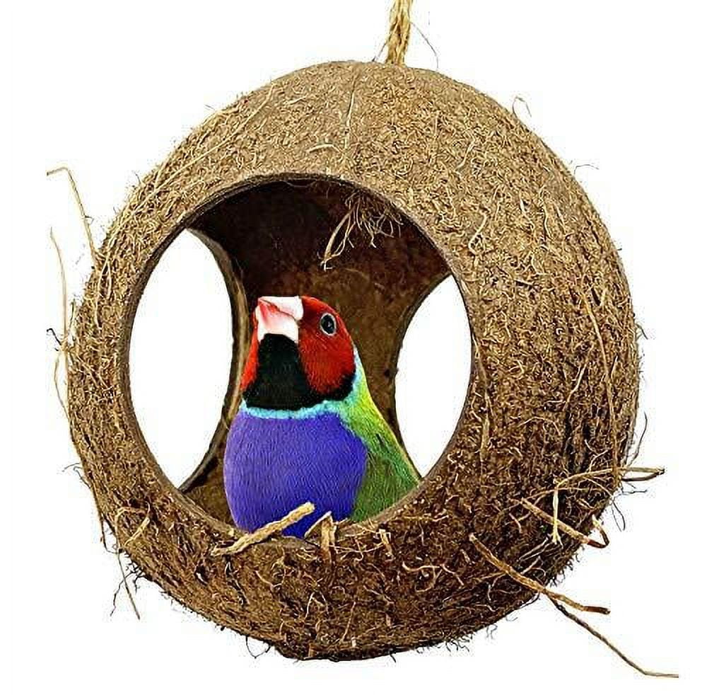 Bonka Bird Toys 2114 3 Hole Coco Hut - Walmart.com