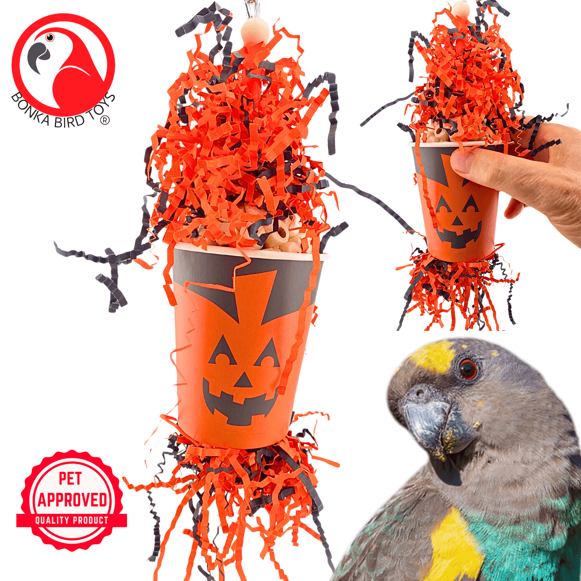 Bonka Bird Toys 2869 Pumpkin Forager Sola Atta Treat Cup Shred Parrot ...