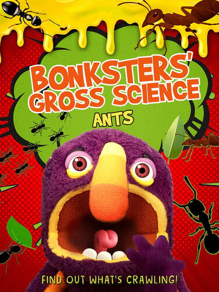 Bonksters Gross Science: Ants (DVD), Wownow, Animation - Walmart.com