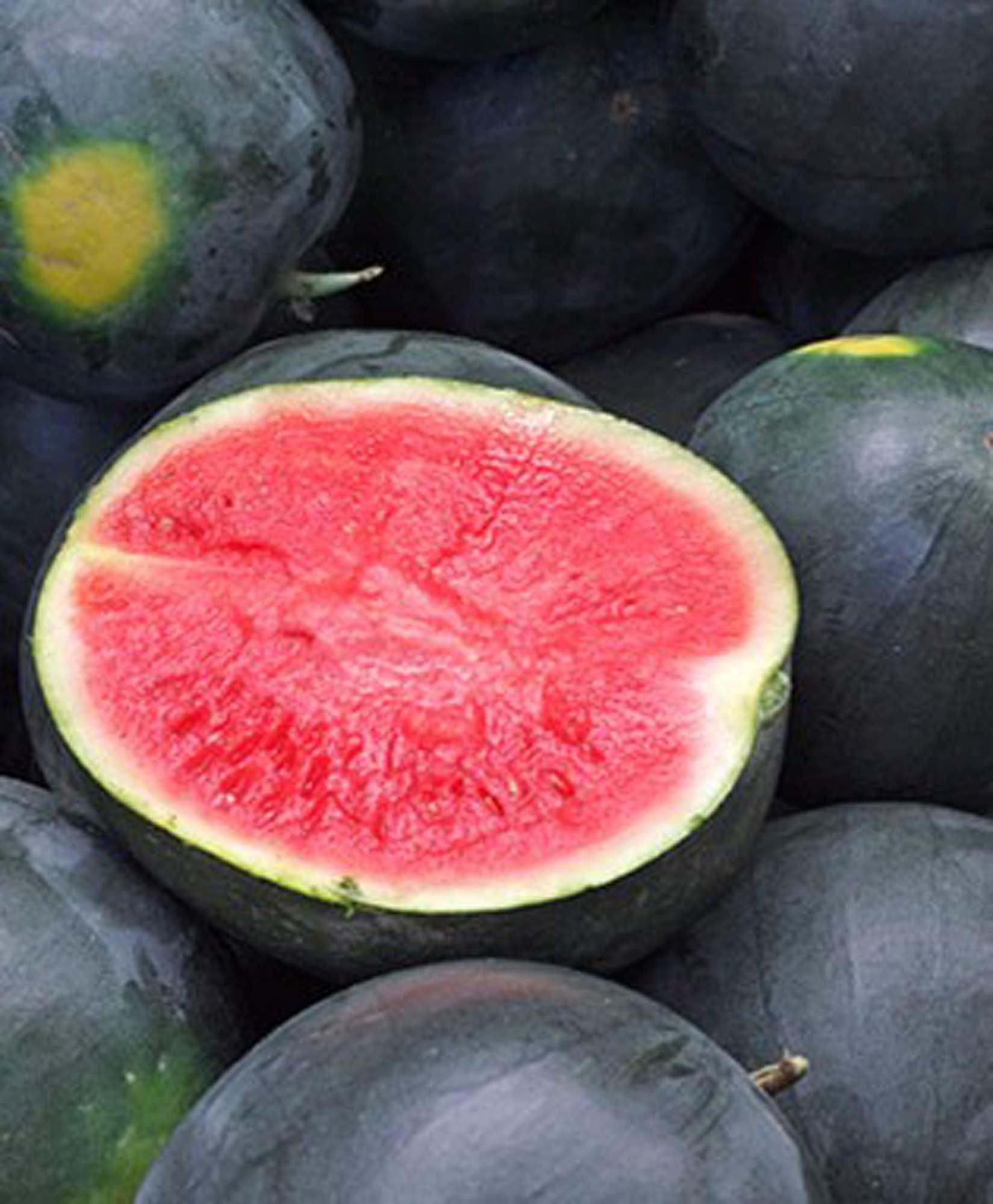 Bonnie Plants Black Diamond Watermelon 19.3 oz. - Walmart.com