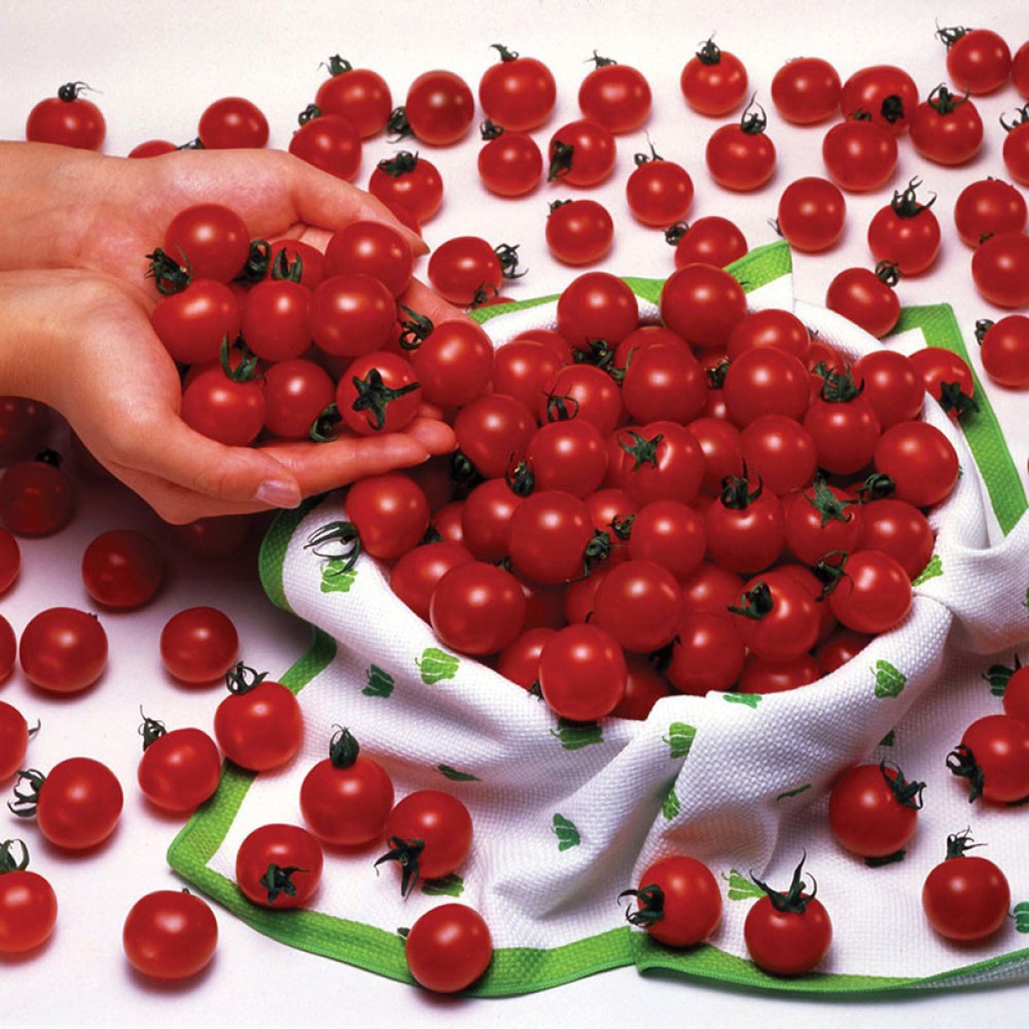 Bonnie Plants Sweet Million Tomato 19.3 oz. - Walmart.com