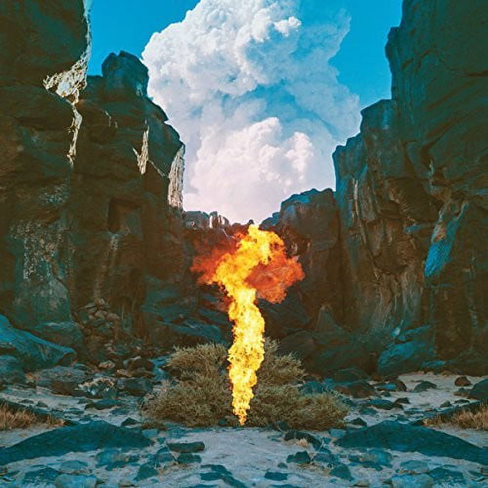 Bonobo - Migration - Music & Performance - Vinyl - Walmart.com