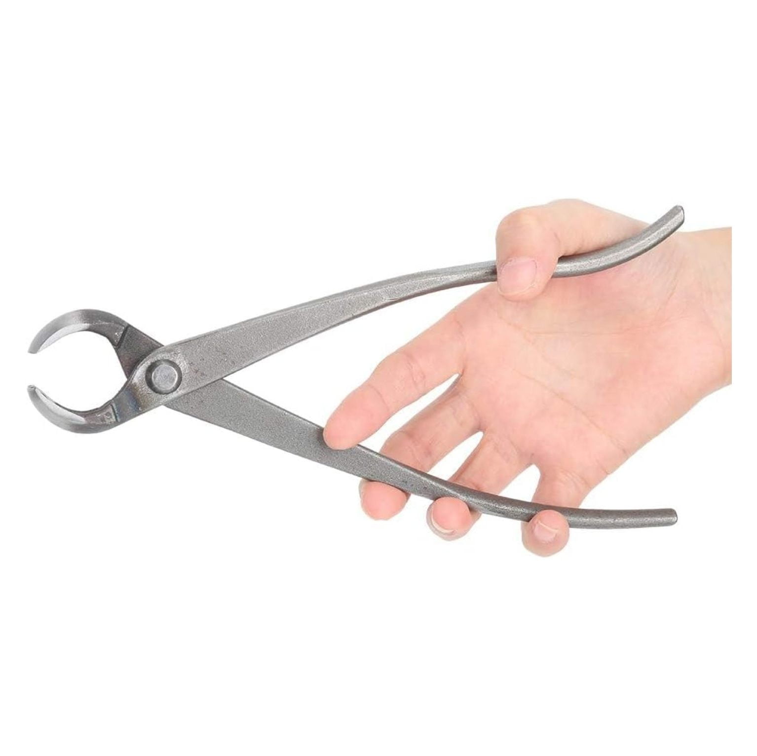 Bonsai Cutters, 8.5inch Concave Cutter Bonsai Tools Stainless Steel ...