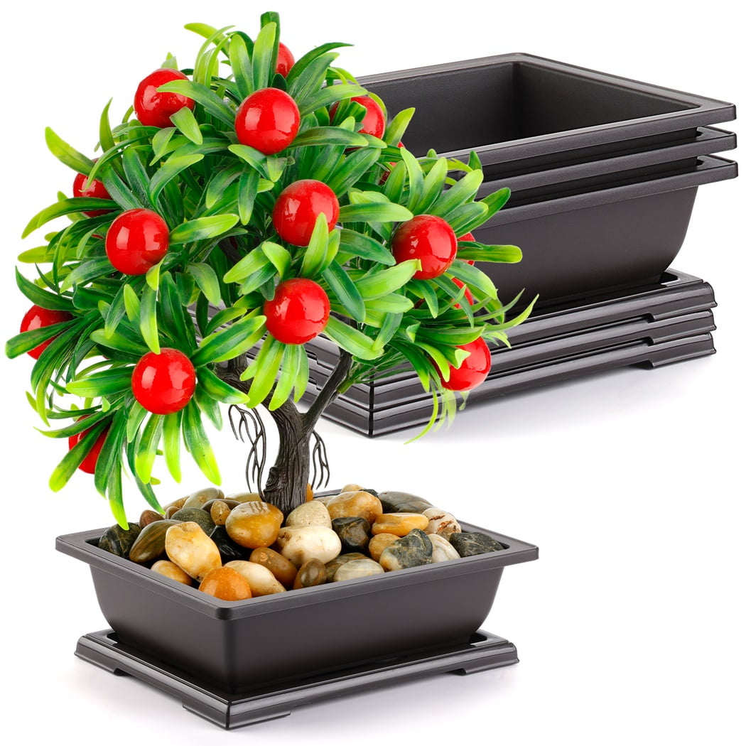 Bonsai Pot, Pack Of 3 Rectangle Bonsai Training Pots with Trays for ...