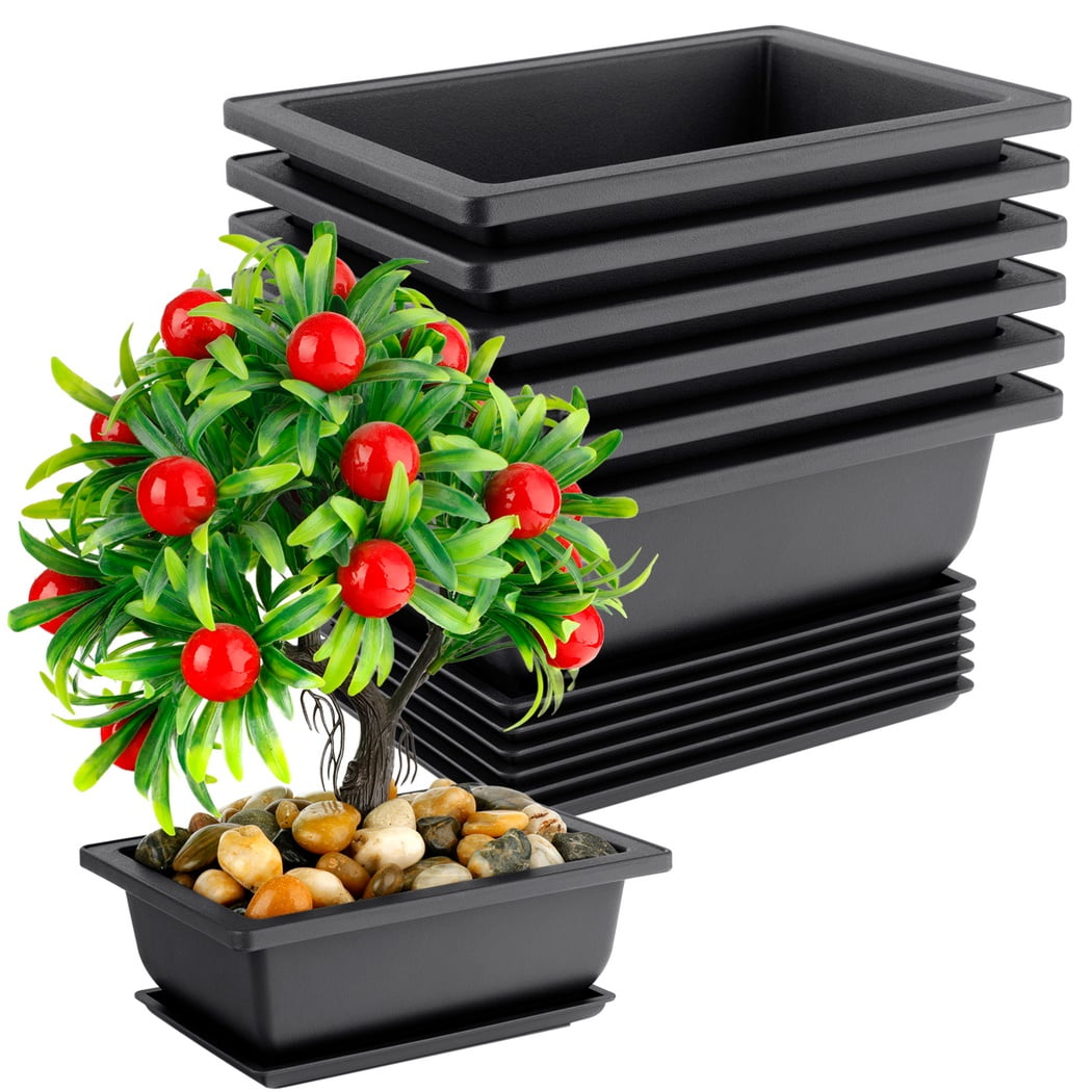 Bonsai Pot, Pack Of 6 Rectangle Bonsai Training Pots with Trays for ...