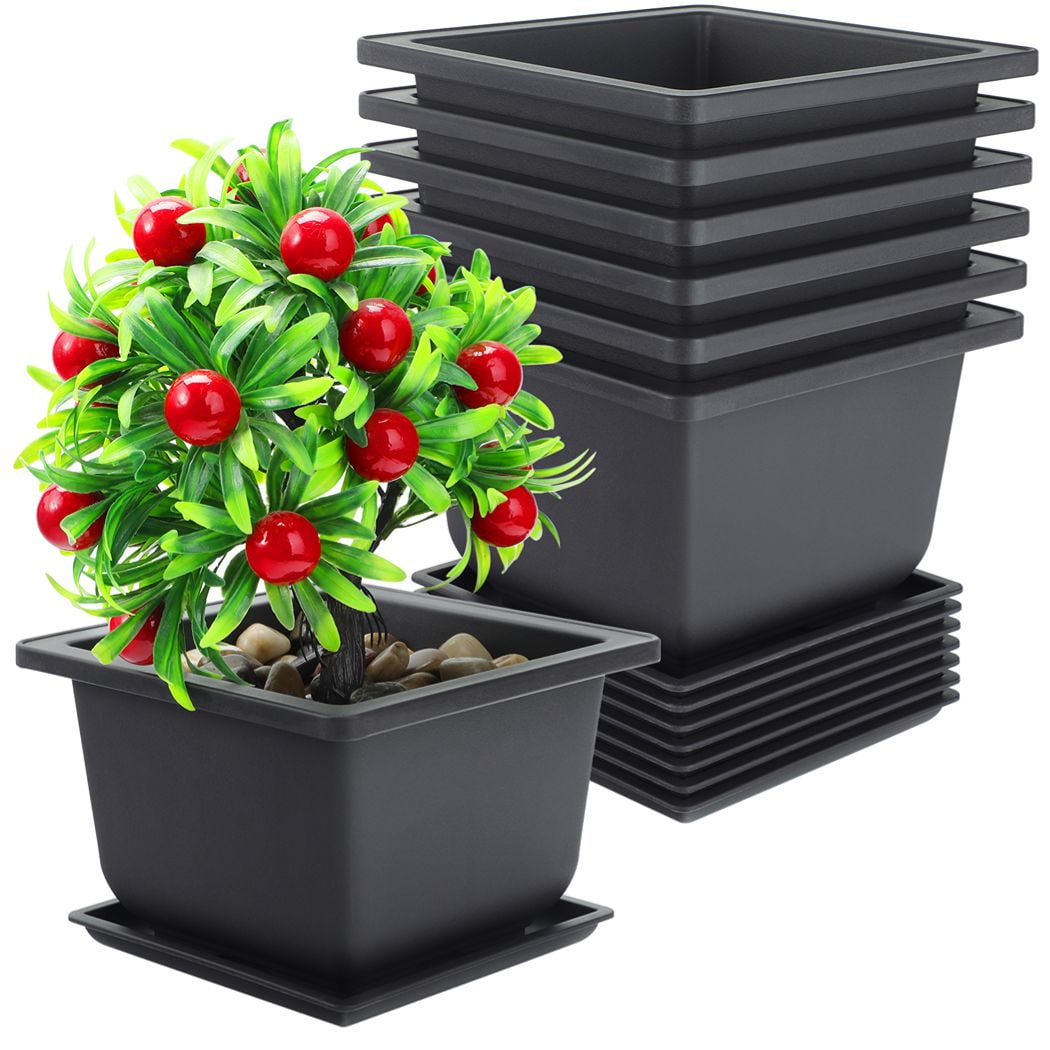 Bonsai Pot, Pack Of 6 Square Bonsai Training Pots with Trays for Potted ...