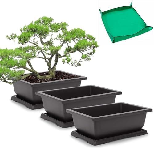 Bonsai Training Pots 3 Packs 9Inch with Drainage Humidity Trays, Bonsai ...