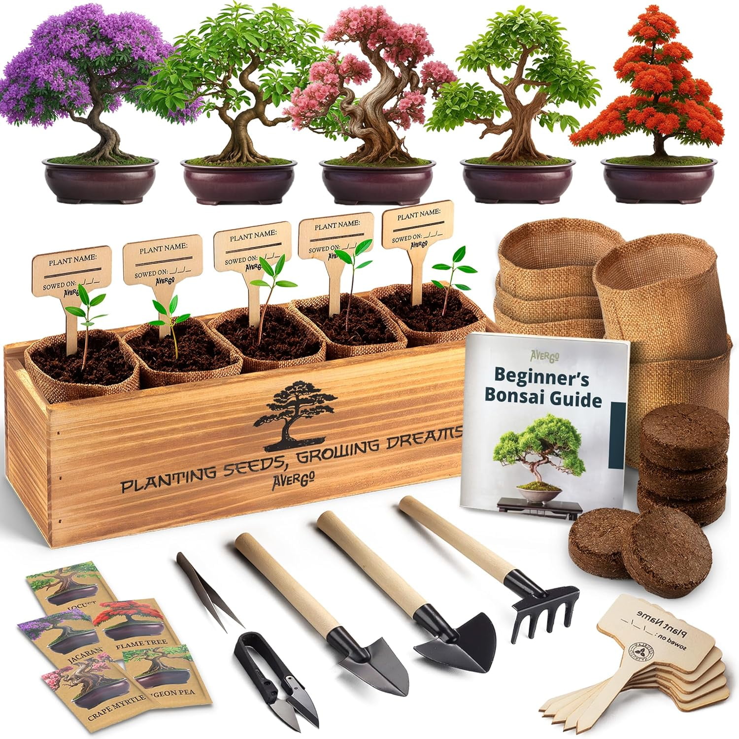 Bonsai Tree Kit for Beginners – 5X Unique Japanese Bonzai Trees ...