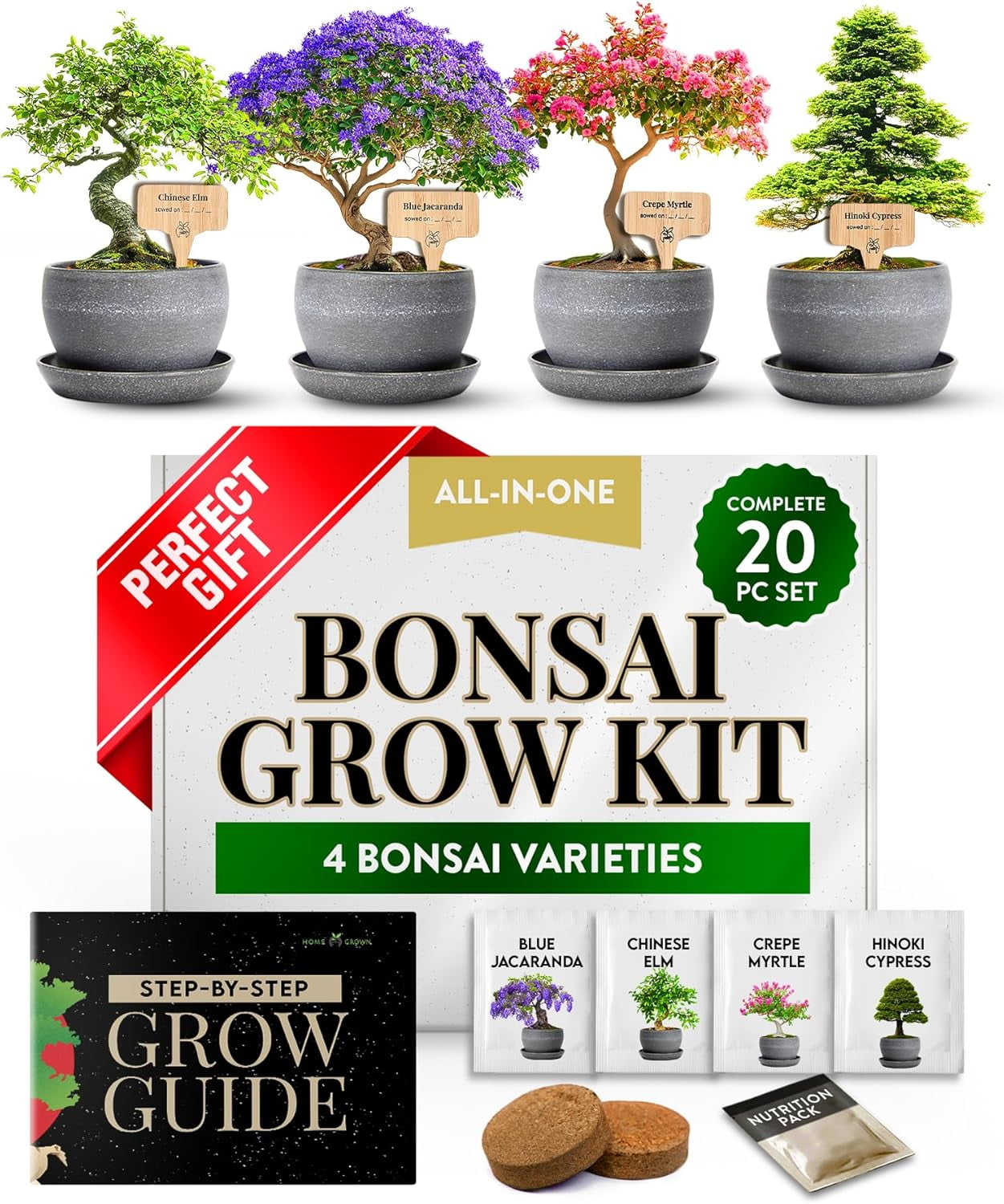 Bonsai Tree Kit – Easy to Grow 4 Species of Bonsai w/Our Complete Plant ...