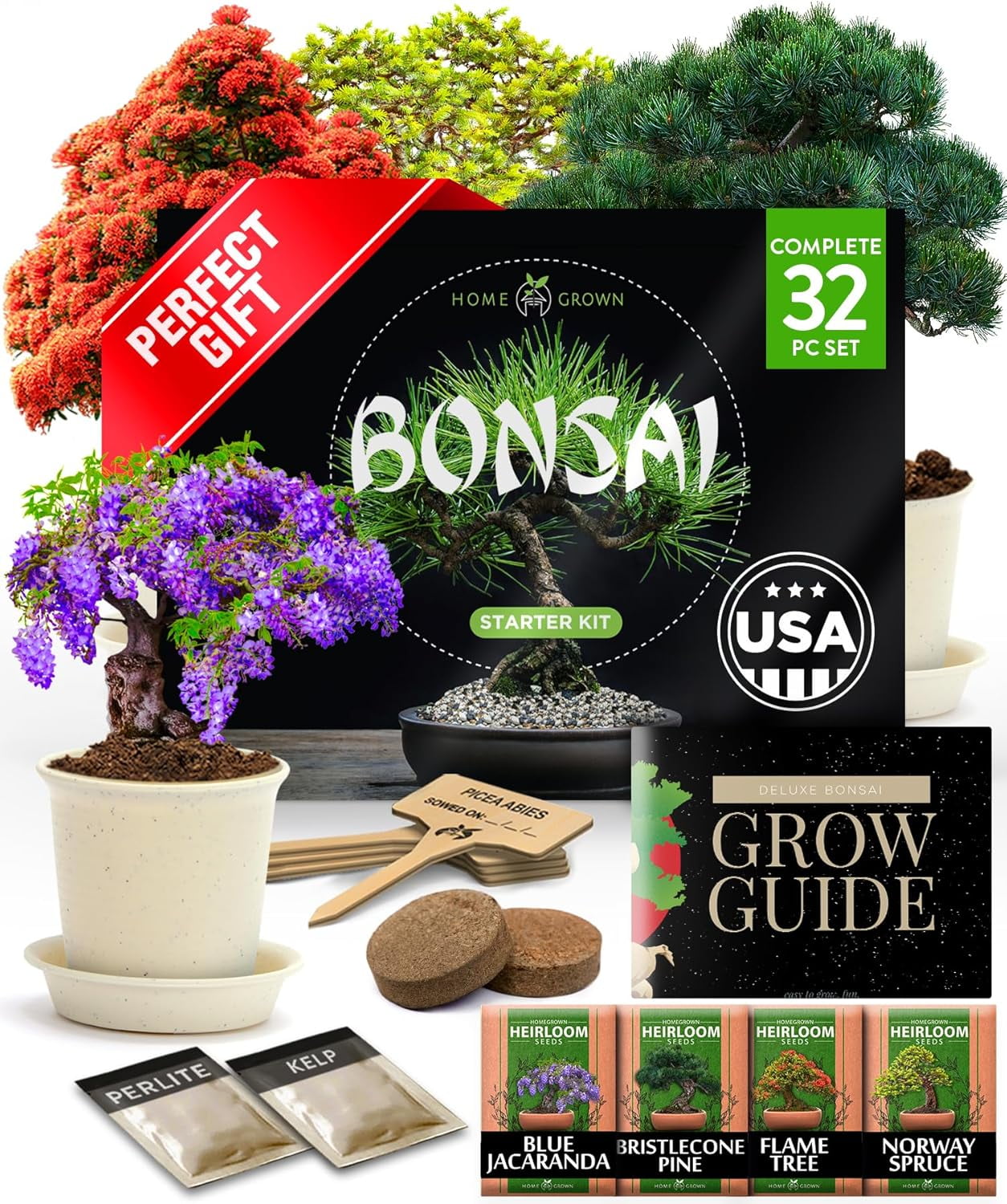 Bonsai Tree Kit - Gifts for Men & Women - Grow 4 Bonsai Trees - Unique ...
